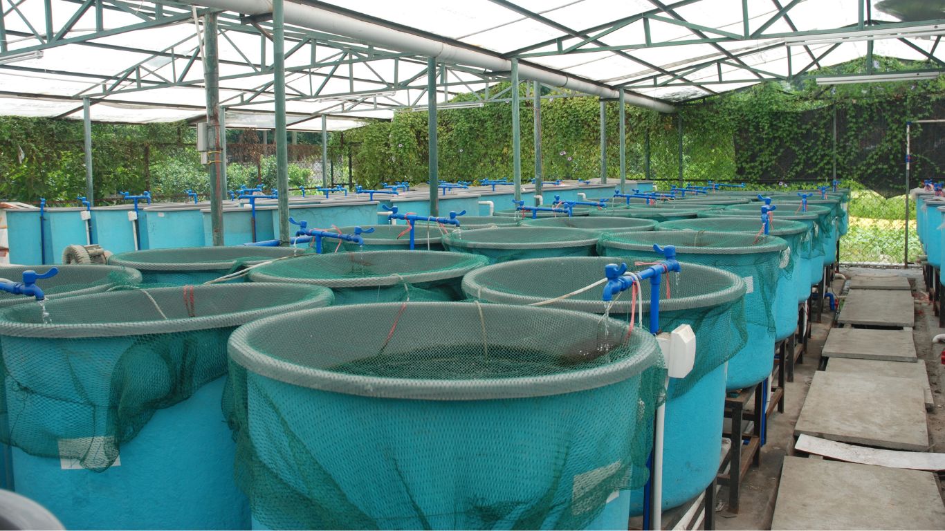 Case Study | Maintenance | Asian Fishery Plant Uses BioAmp to Eliminate ...